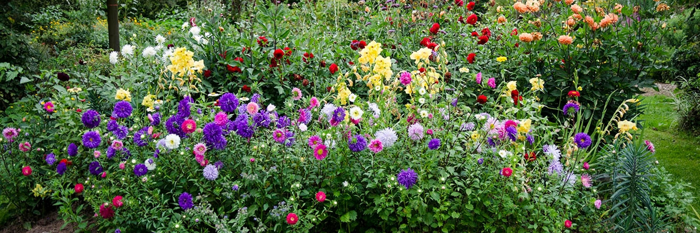 Energie- und Wärmeplanung | landkreis-waldeck-frankenberg